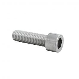 Inbusbout M10 x 55 mm DIN-912 RVS 316, 10 stuks - RVSLand